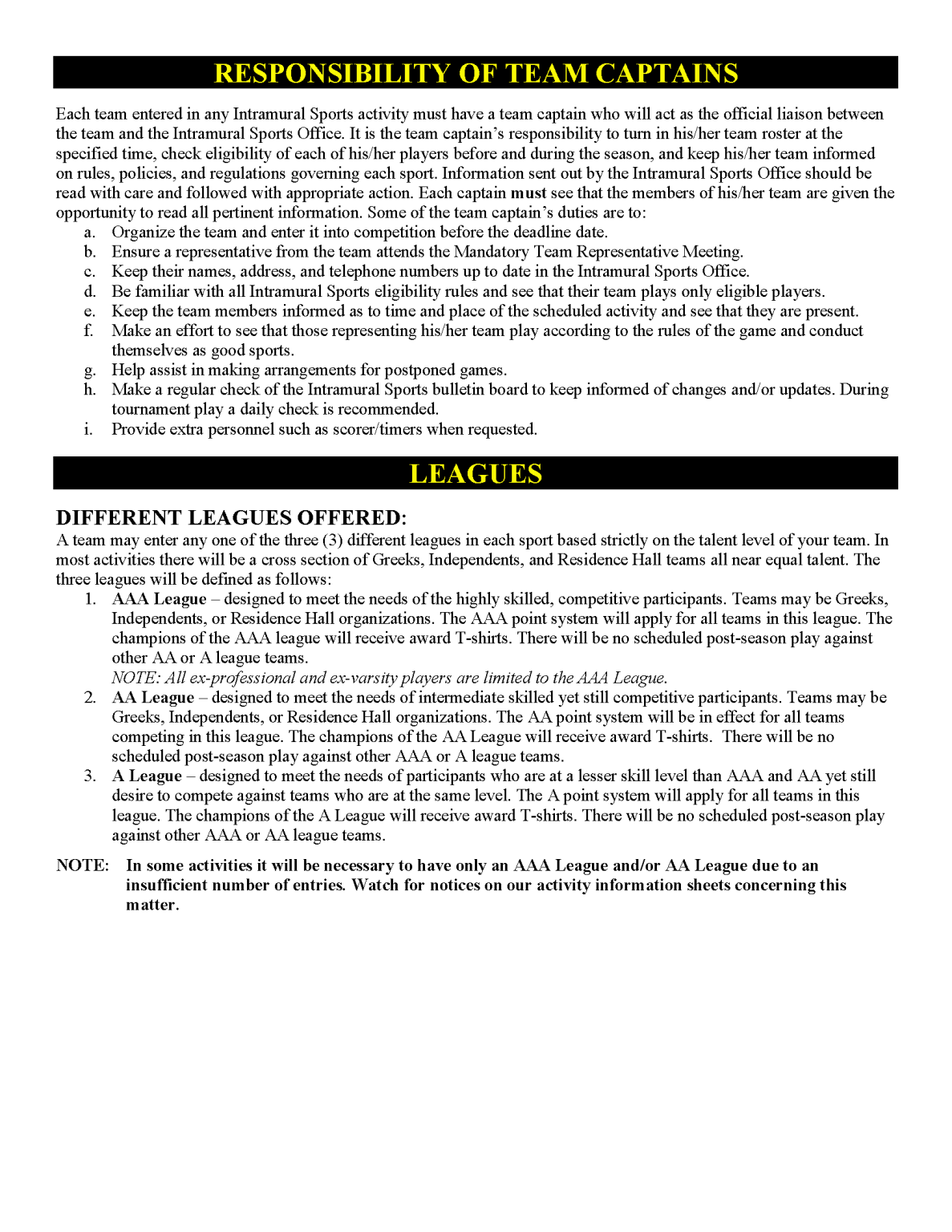 Modernizing a College Intramural Sports Handbook - Lis Cinelli